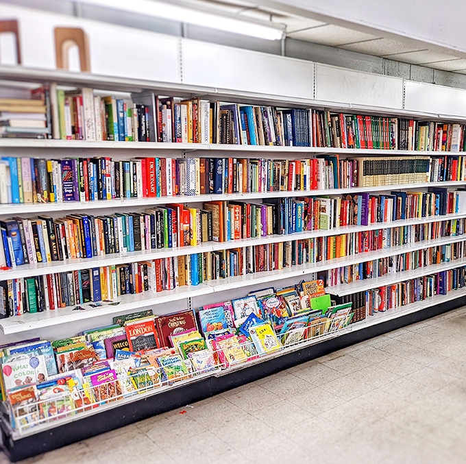 Literary treasures stacked floor to ceiling&mdash;a bibliophile's dream where paperback adventures and hardcover wisdom cost less than a fancy coffee.