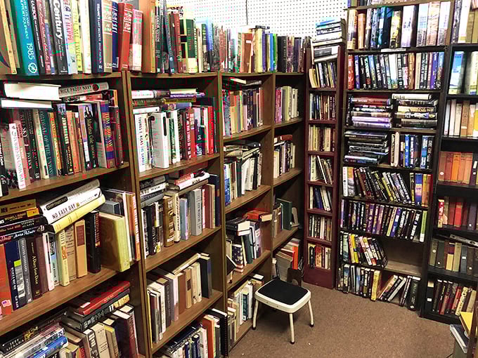 A bibliophile's dream corner where forgotten bestsellers and obscure treasures coexist. Your next literary obsession is hiding somewhere between these shelves.