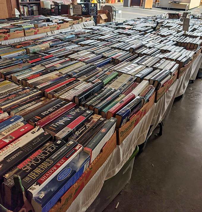 Books stacked higher than your reading ambitions. This literary buffet offers everything from beach reads to forgotten classics waiting for rediscovery.