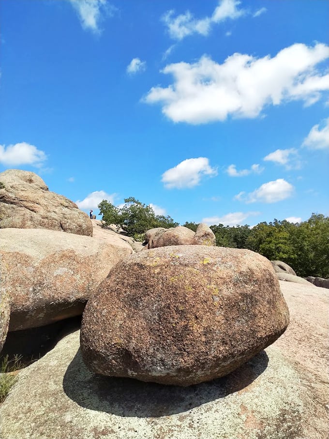 Geological celebrities basking in the Missouri sunshine. These rocks have more fans than most influencers, and they've never posted a selfie.