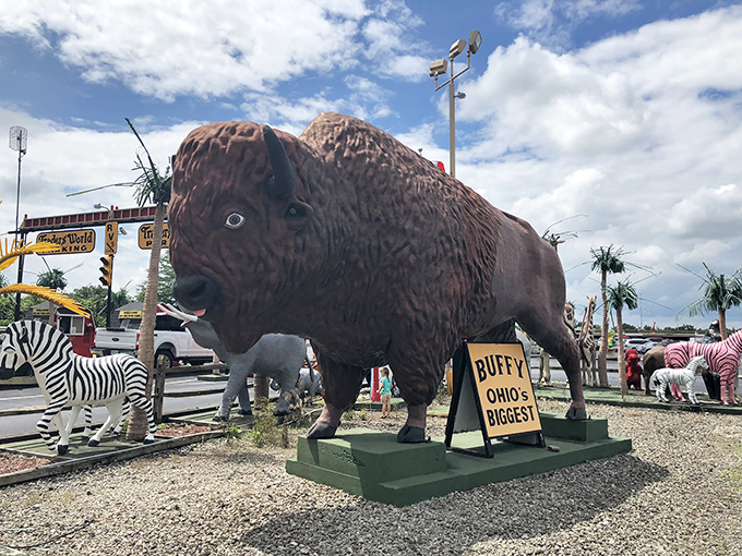 "Buffy," Ohio's biggest buffalo statue, holds court among a menagerie of concrete creatures&mdash;the perfect roadside photo op for flea market adventurers.