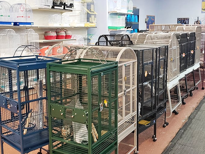 Bird and small animal enthusiasts find their happy place among these quality cages. Your feathered and furry friends deserve accommodations this nice!