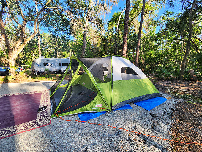 Camping nirvana: where your morning alarm is birdsong and your ceiling is a canopy of ancient trees filtering Florida sunshine.