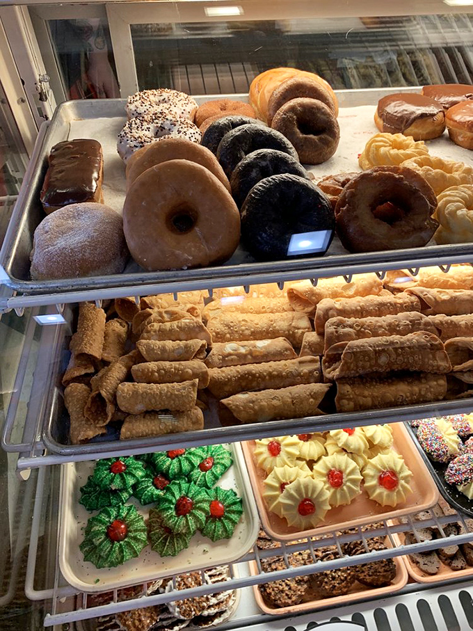 The display case houses donuts and cannoli shells like museum artifacts, except here you're encouraged to touch, taste, and come back for seconds.