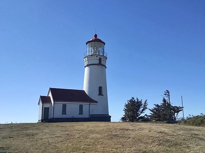 Cape Blanco Lighthouse stands like a stalwart sentinel. For over a century, it's been the original GPS for mariners navigating these waters. 