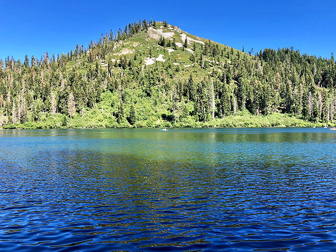 Castle Lake reflects the surrounding wilderness like nature's mirror. No filter needed when reality looks better than Instagram.