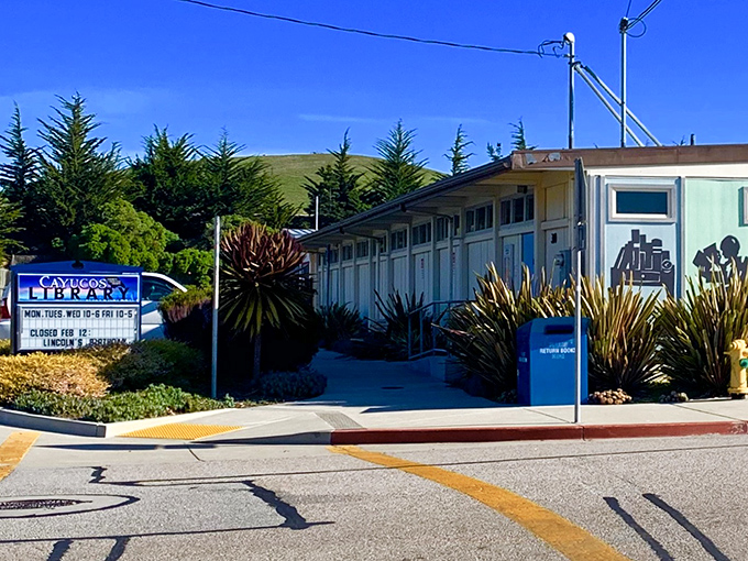 The Cayucos Library stands as proof that even in paradise, locals understand that sometimes the best adventures happen between pages.