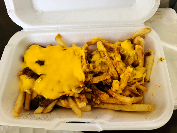 Cheese fries that make you wonder why you ever bothered with plain ones. Like finding out your favorite song has a better remix.