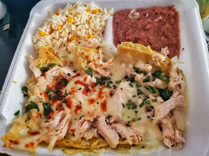 This isn't just a meal; it's a vacation to flavor town with rice, beans, and chicken enchiladas that would make your abuela nod in approval.