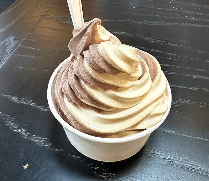 Soft serve perfection in chocolate and vanilla swirl. The kind of dessert that makes adults fight over the last spoonful like they're eight years old again.