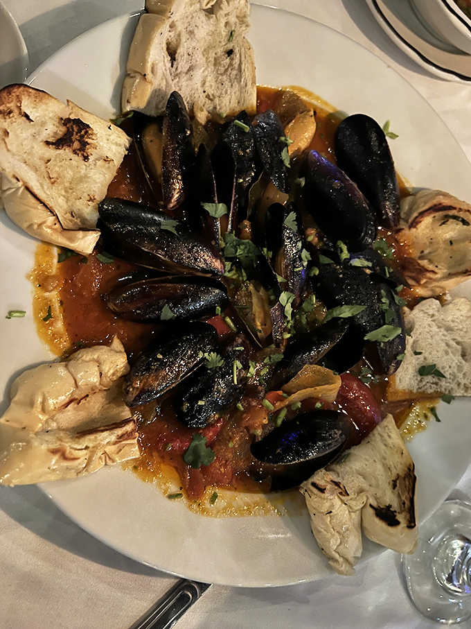 Mussels served with crusty bread for sopping up that glorious sauce—because leaving any behind would be a crime punishable by serious foodie shame.