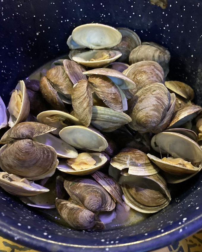 The ocean's treasure chest in a bowl – these clams have probably traveled fewer miles to your table than you did to the restaurant.