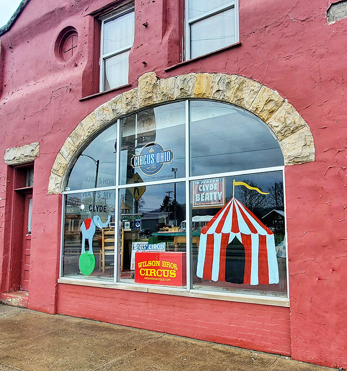 The Circus Dojo window display &ndash; where small-town nostalgia meets big-top dreams in a storefront that would make P.T. Barnum proud.