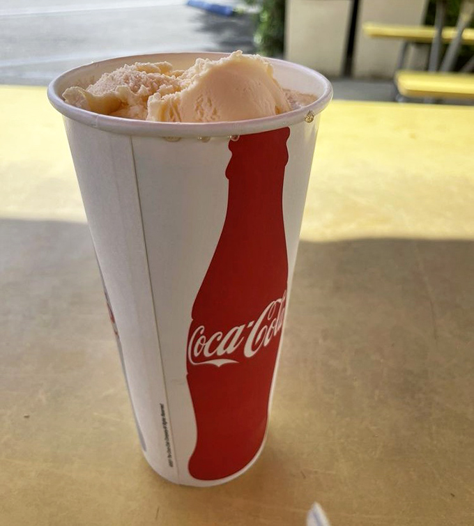 Ice cream floating in soda isn't just a dessert, it's a time machine. One sip from this classic paper cup transports you straight back to simpler times.