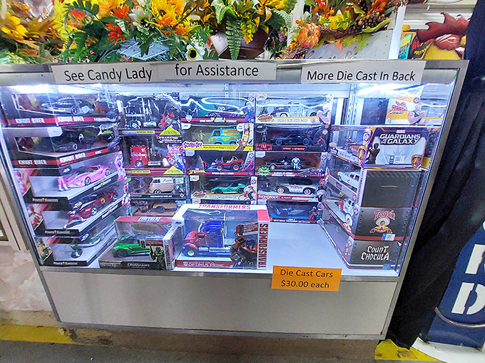 Die-cast dreams behind glass! This collector's paradise showcases miniature automotive legends that transport grown men back to childhood afternoons.