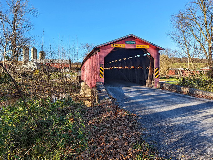 Winter's bare branches frame Adair Bridge in stark beauty, revealing architectural details hidden by summer's lush canopy.