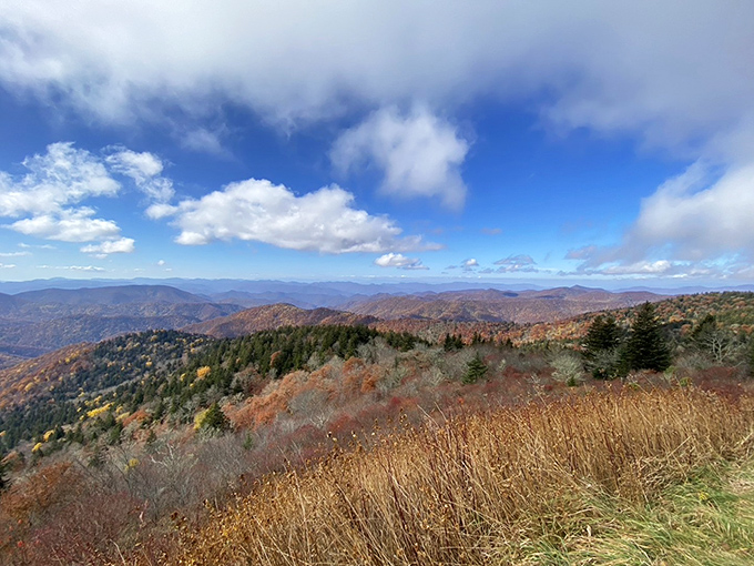 Fall's paintbrush transforms the mountains into a patchwork quilt of amber, russet and gold. Autumn in the Blue Ridge is worth every mile.