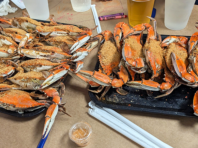 Maryland blue crabs in their full Old Bay-dusted glory. The table becomes a delicious battlefield of shells, mallets, and finger-licking goodness.
