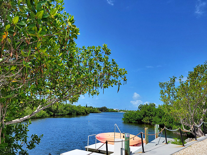 Mangroves frame the waterways at Crane Point, where the natural Florida Keys reveal themselves just minutes from the bridge's concrete expanse.