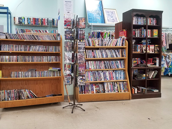 A bibliophile's dream and cinephile's paradise. These shelves hold forgotten blockbusters and literary treasures waiting for rediscovery.