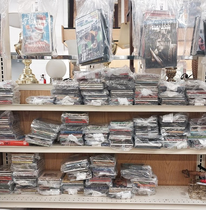 DVD paradise for movie buffs who still appreciate physical media. From blockbusters to obscure documentaries, these plastic time capsules await their next viewing party.