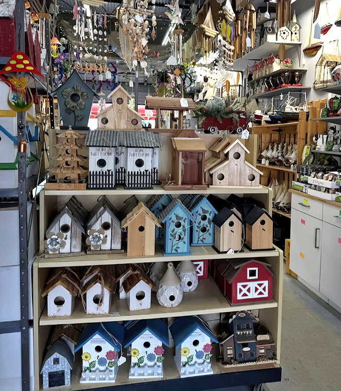 Birdhouse bonanza! From quaint cottages to rustic barns, these feathered real estate options prove even birds deserve curb appeal in the Sunshine State.