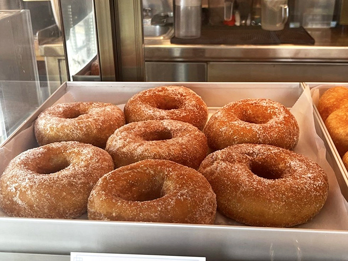 Sugar-dusted donuts lined up like delicious soldiers, ready to march straight into your heart (and stomach) without a moment's hesitation.