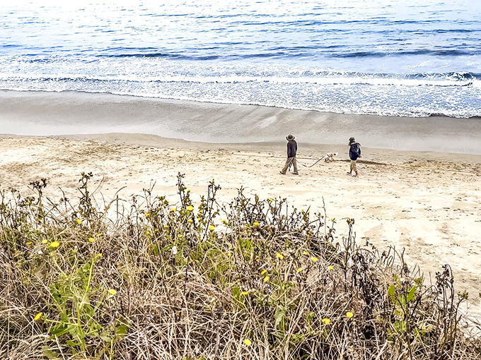 Dog walkers on empty beaches&mdash;the true measure of coastal wealth isn't beachfront property, but having sand all to yourself.
