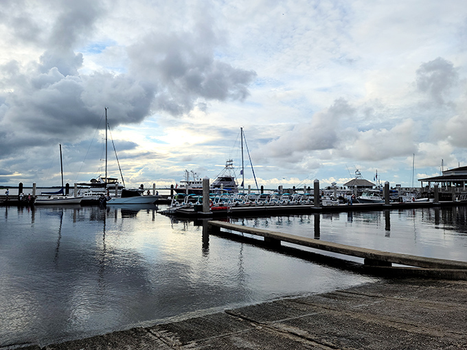 Morning reflections at Fernandina Harbor Marina create mirror images so perfect you'll wonder which side is real and which is the dream.