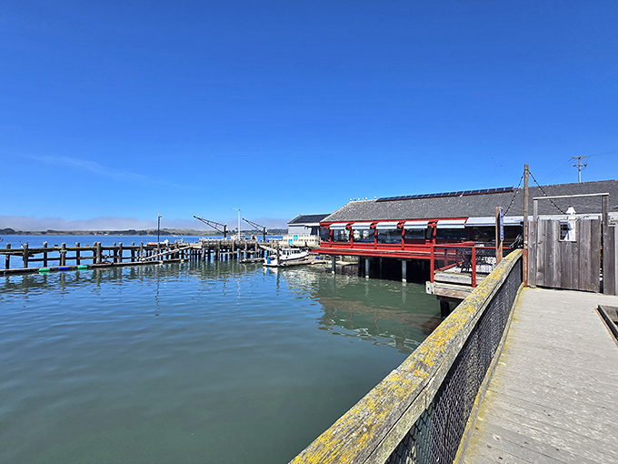 This isn't just another seafood shack &ndash; it's where the morning's catch meets lunchtime hunger in a dance as old as coastal living itself.