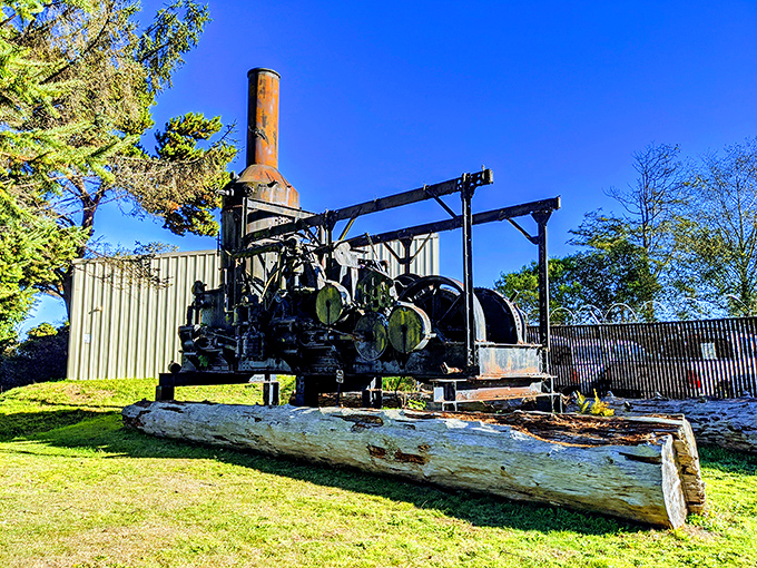 This vintage lumber equipment stands as a rusting reminder of the industry that built Eureka, now peacefully retired like many of its residents.