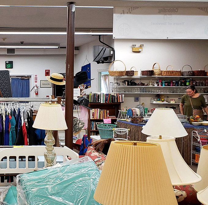Where lamps, books, and baskets collide in beautiful chaos. Every corner of this thrift wonderland tells a different story.