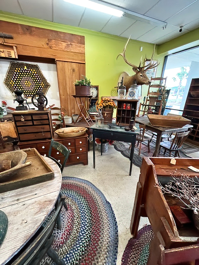 A rustic wonderland where every piece has survived decades of history. That mounted deer has seen things.