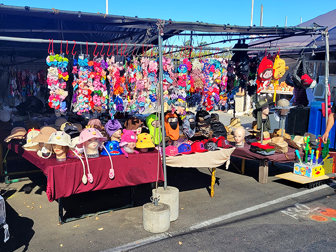 A hat-lover's dream where every headpiece promises adventure. Indiana Jones would approve of this selection&mdash;snakes not included.