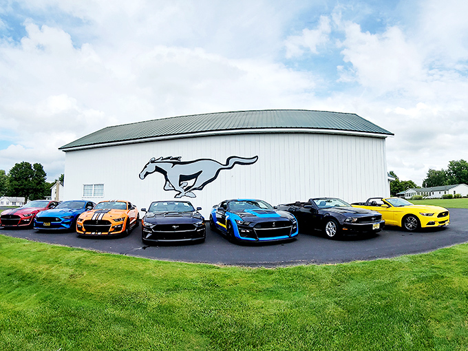 The Halderman Museum Barn preserves local history within walls that have witnessed generations of stories.