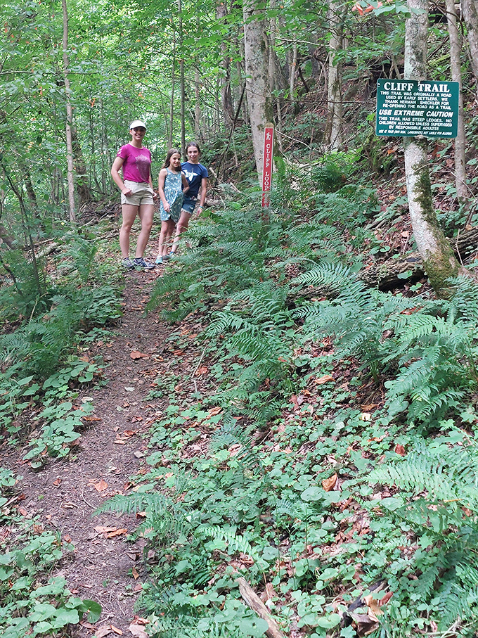 This way to adventure! The Cliff Trail welcomes hikers with a mix of ferns, forest, and that thrilling sign that basically says "proceed at your own risk."