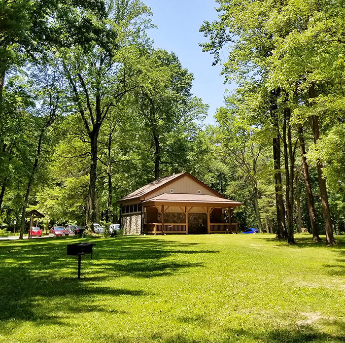 The park's pavilion nestles perfectly among towering trees. Where picnic tables and forest therapy combine for the ultimate lunch break upgrade.