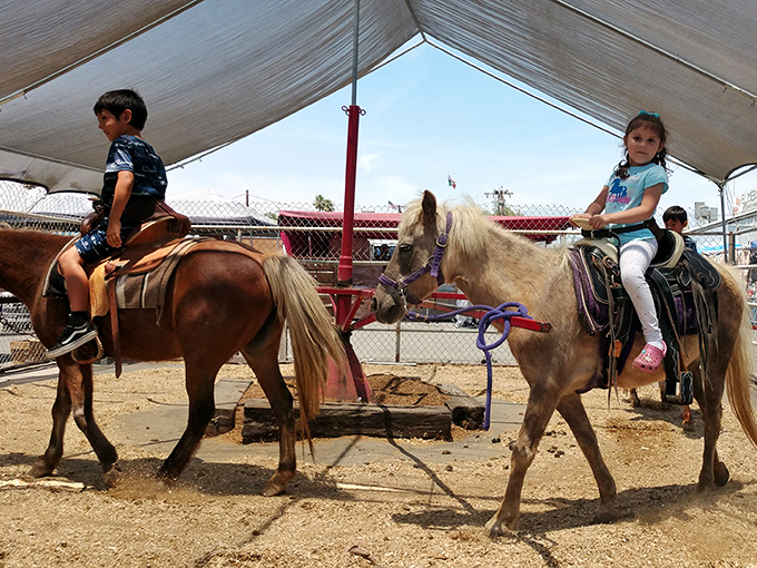 Pony rides bring childhood magic to a marketplace otherwise devoted to commerce. The smiles here aren't negotiable&mdash;they're included in the price.