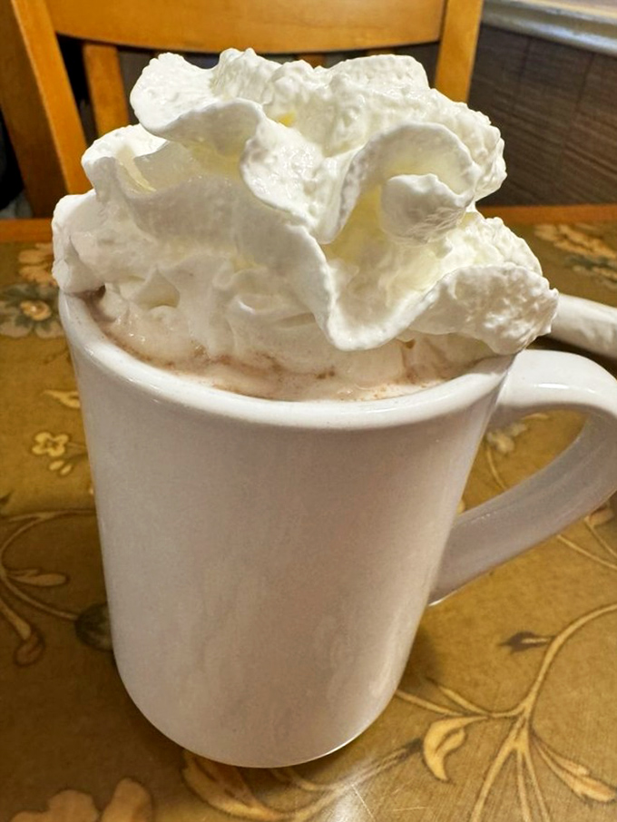 Hot chocolate that doesn't just have whipped cream&mdash;it has a whipped cream skyscraper that defies both gravity and restraint.