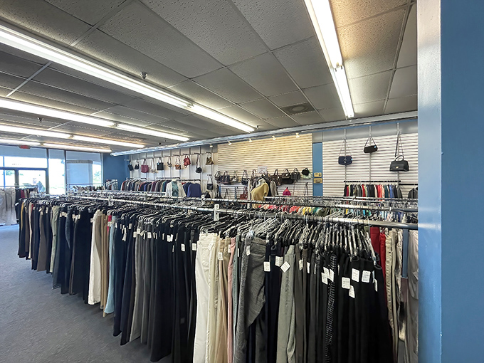 The pants section stretches toward retail infinity. Finding your perfect fit here feels like winning a lottery you didn't know you entered.