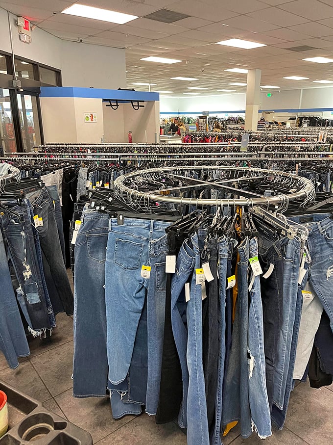 The denim circular rack—a blue jean wonderland where your next favorite pair of pants costs less than your morning latte.