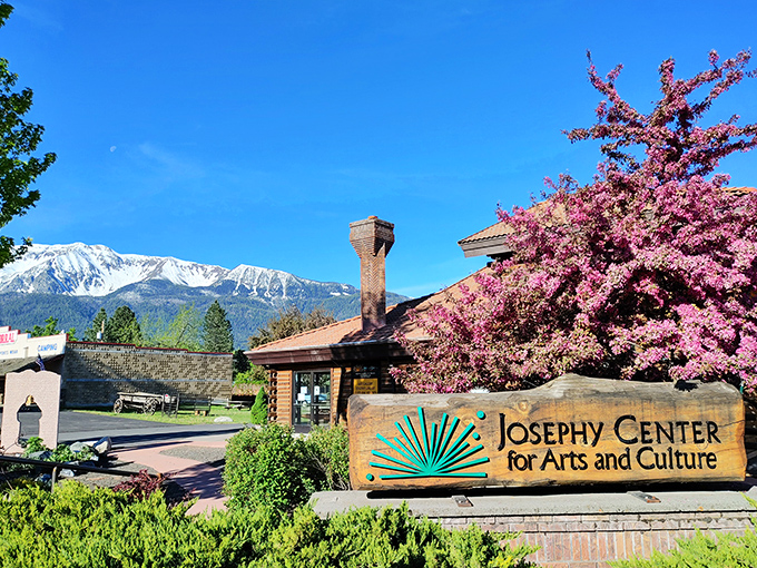 Spring explodes around the Josephy Center with cherry blossoms that would make Washington DC jealous. Culture blooms year-round inside.
