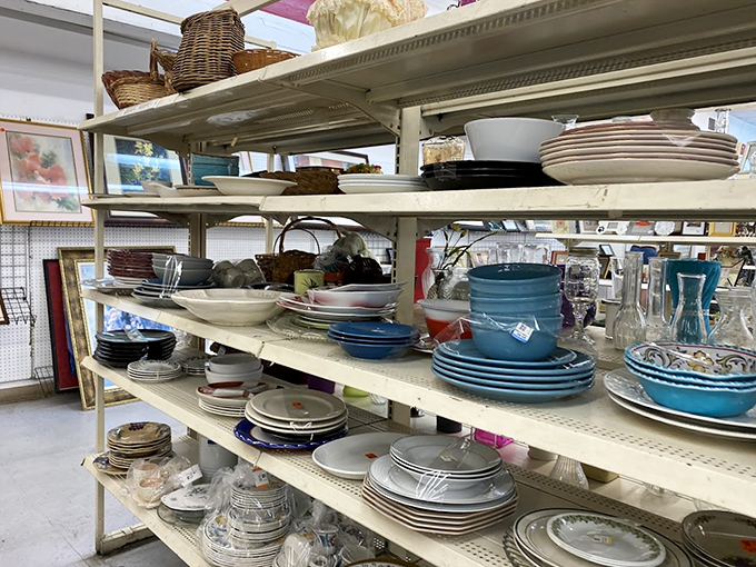 Plate paradise! These dish collections could transform your mismatched cabinet situation into something your mother-in-law might actually compliment.
