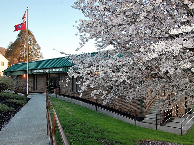 Spring brings cherry blossoms to the LaFollette Public Library, creating a scene that would make even the most dedicated e-reader fan crave paper.