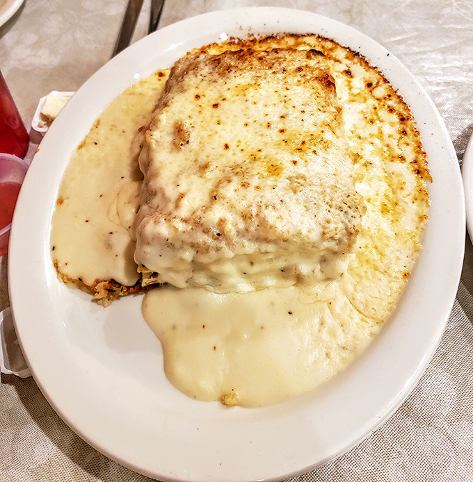 Lasagna shouldn't be this good on a Tuesday in Toledo, but here we are—layers of pasta, cheese, and sauce creating the comfort food equivalent of a warm hug.