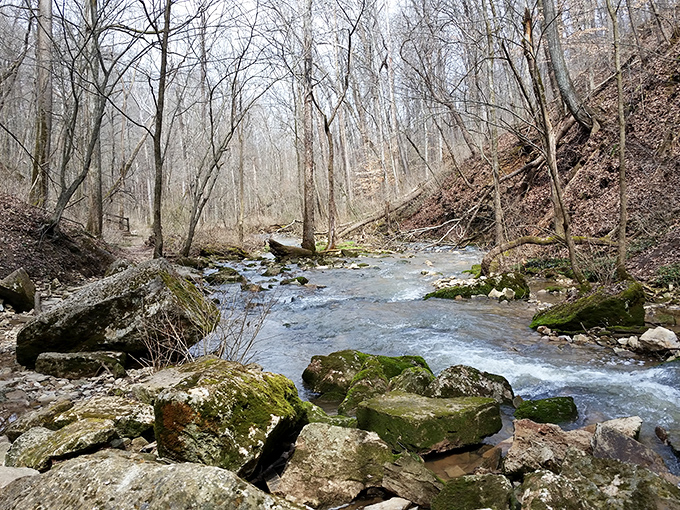 Early spring reveals the park's skeleton &ndash; a rushing stream cutting through bare trees, raw and beautiful in its unadorned state.