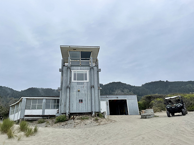 Not your average office with a view. This lifeguard tower stands ready for summer drama&mdash;part lookout, part landmark, all California cool.