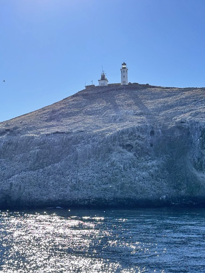 Viewed from the water, the lighthouse and its rocky foundation create a silhouette that's been burning itself into sailors' memories for generations.