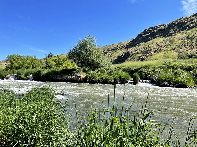 The Link River offers nature's version of a spa day – rushing waters, mountain views, and not a single appointment needed.