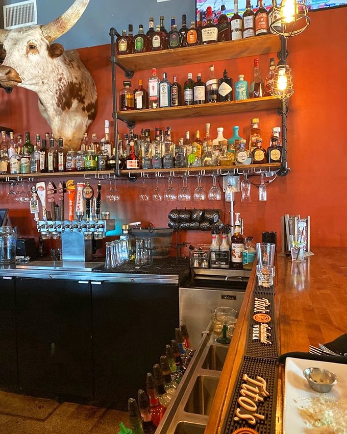 The bar setup isn't just impressive—it's a liquid library with that longhorn mount keeping watch over proceedings like a bovine bouncer.